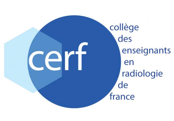 Le CERF aux JFR 2017 : première promotion d’internes en radiologie ...