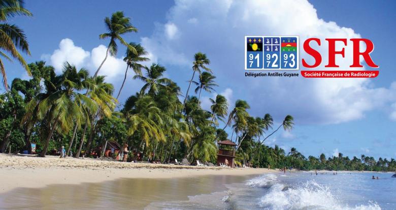 SFR Antilles Guyane : Jeune et dynamique | SFR e-Bulletin